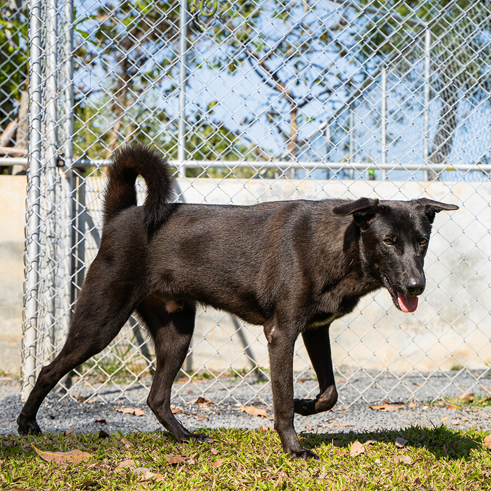 Index of /uploads/inventory/1129