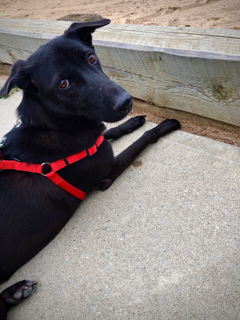 Index of /uploads/inventory/1129