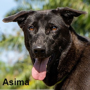 Index of /uploads/inventory/1129