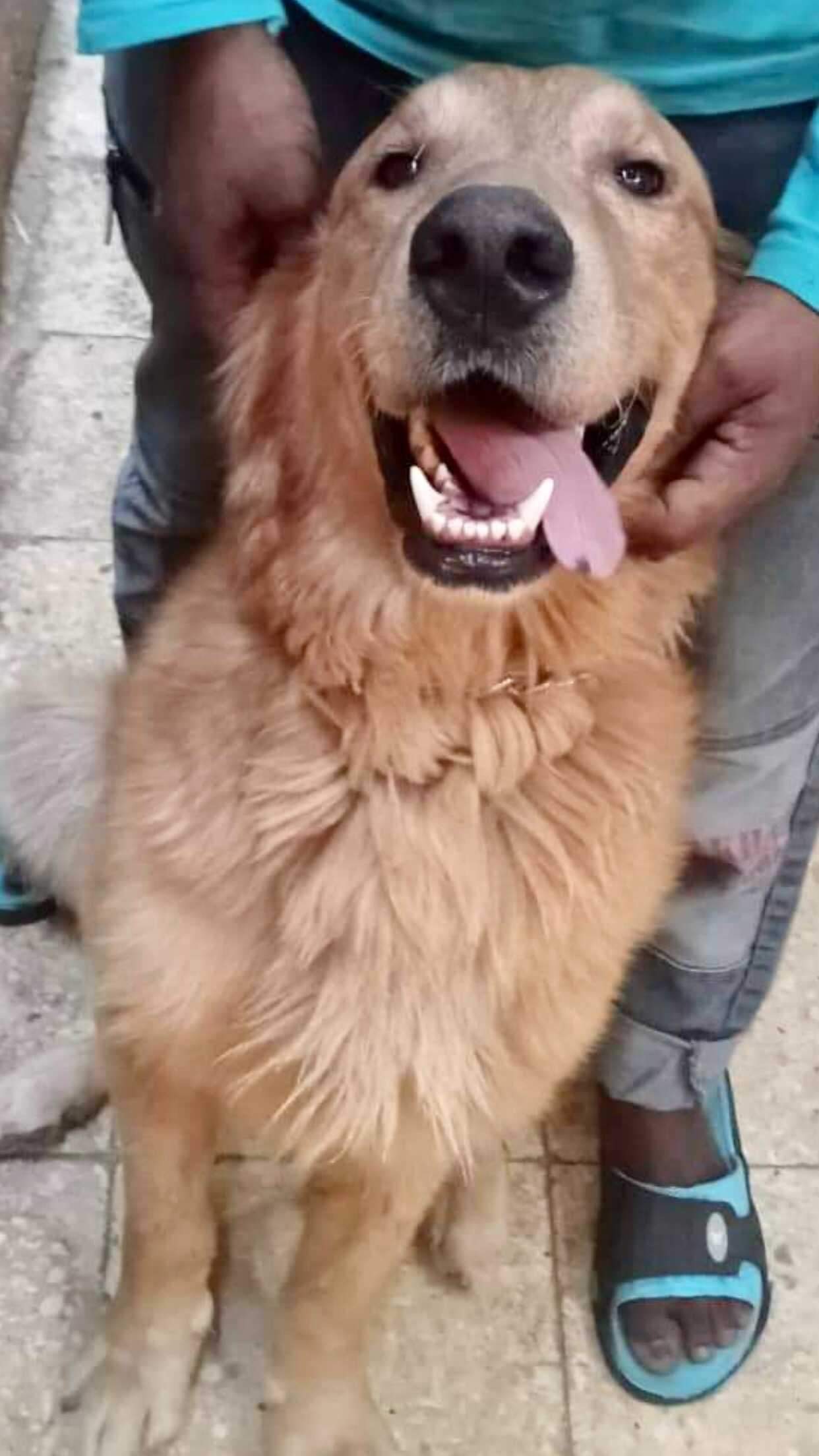 Index of /uploads/inventory/1307