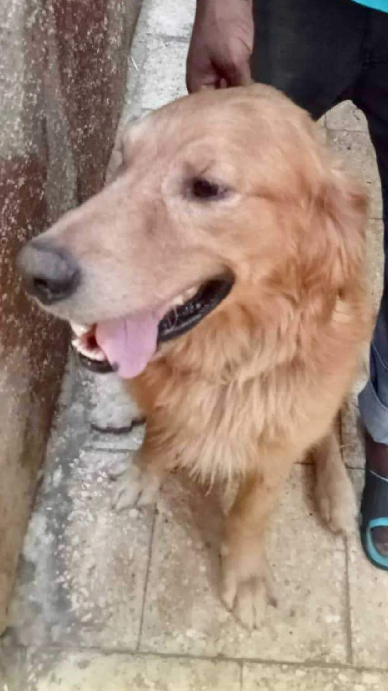 Index of /uploads/inventory/1307