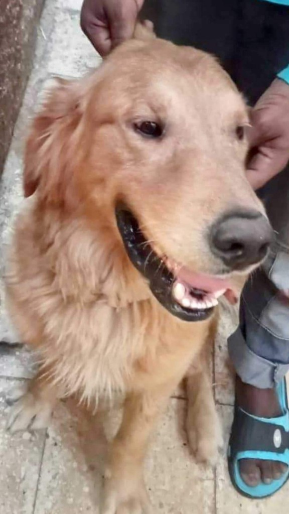 Index of /uploads/inventory/1307