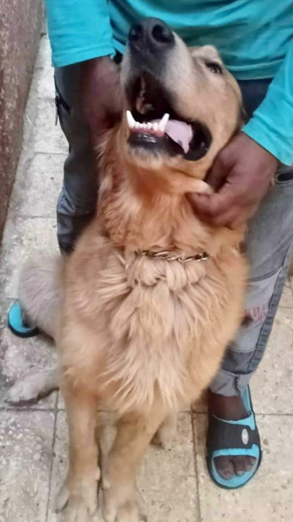 Index of /uploads/inventory/1307