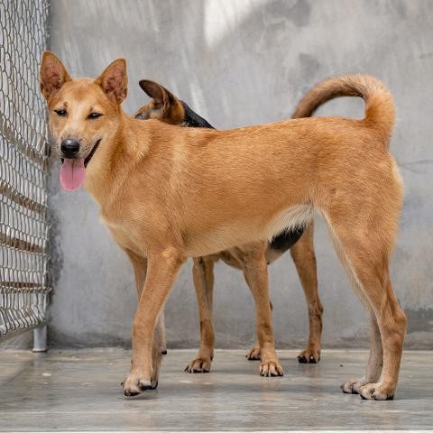 Index of /uploads/inventory/851