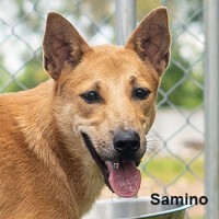 Index of /uploads/inventory/851